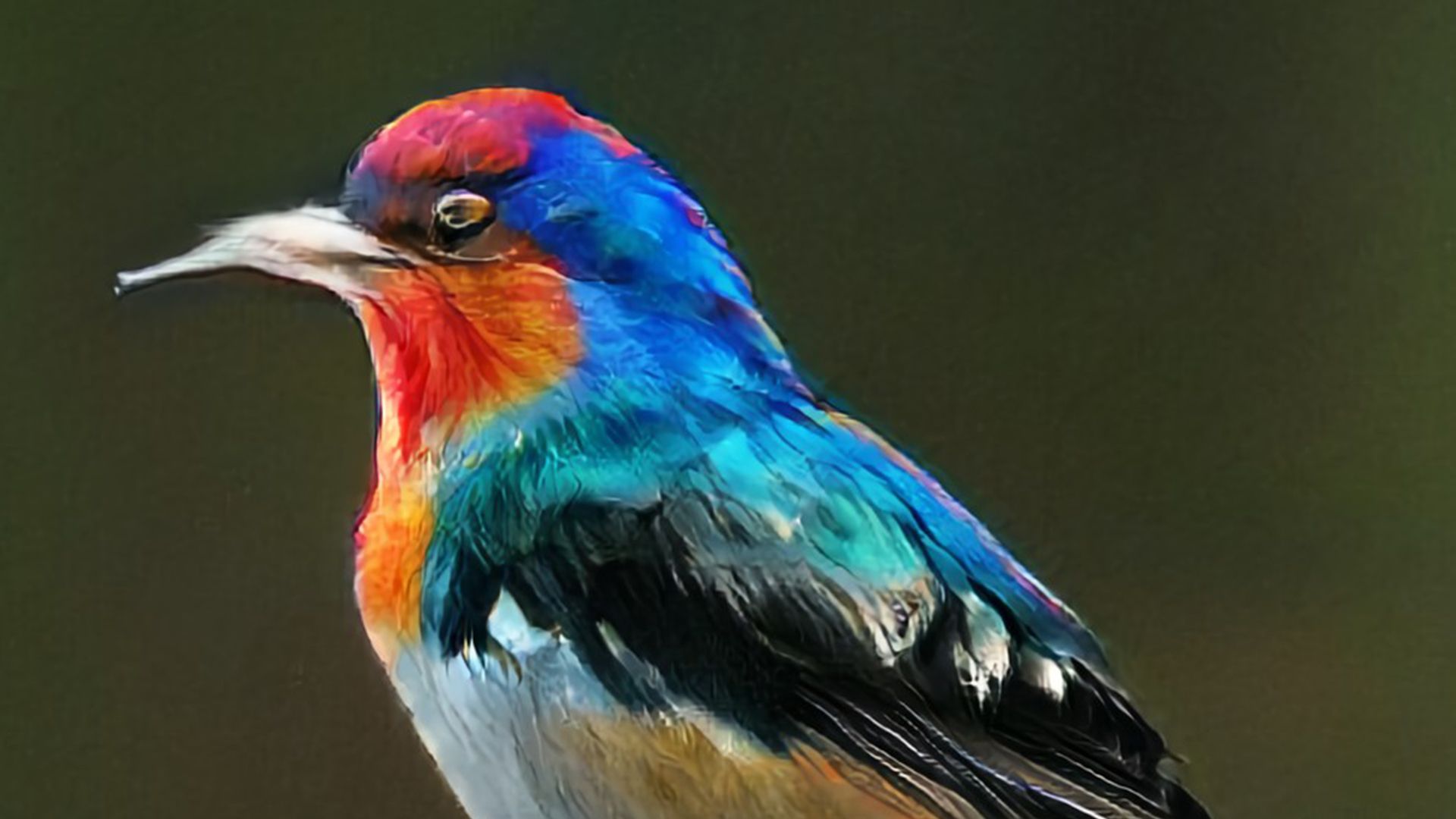 A New Way To Generate Synthetic Data For Pretraining Computer Vision