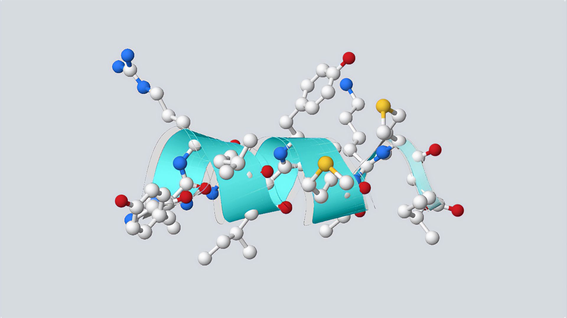 IBM AI finds new peptides – paving the way to better drug design | IBM ...